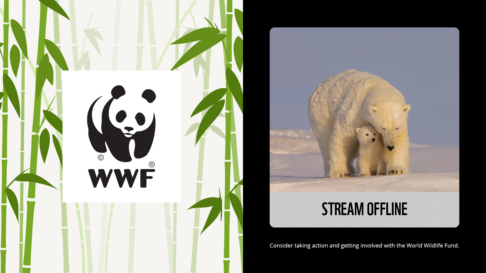 Stream Overlays | Free & Premium Overlays for Twitch, TikTok & Beyond ...