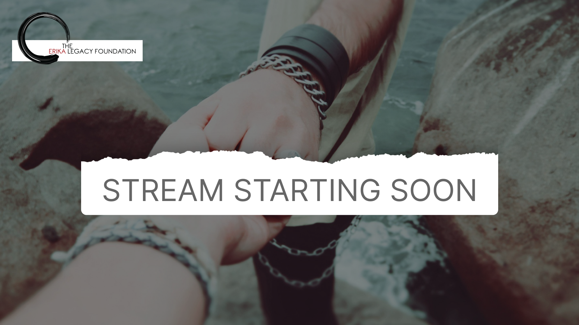 Stream Overlays | Free & Premium Overlays for Twitch, TikTok & Beyond ...