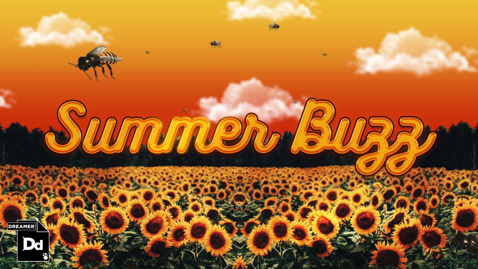 Stream Overlays | Free & Premium Overlays for Twitch, TikTok & Beyond ...