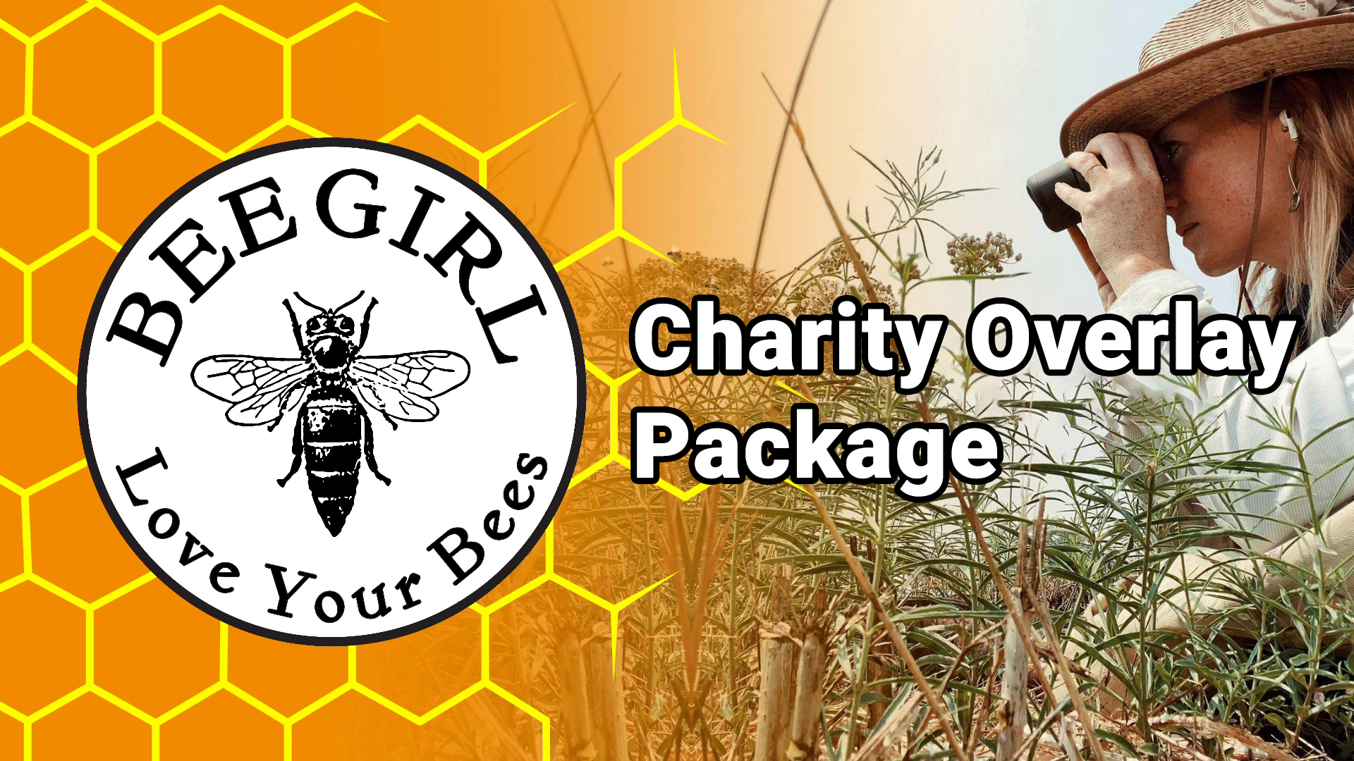 Stream Overlays | Free & Premium Overlays for Twitch, TikTok & Beyond ...