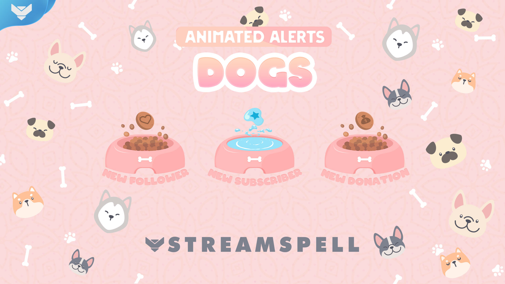 Stream Overlays | Free & Premium Overlays for Twitch, TikTok & Beyond ...