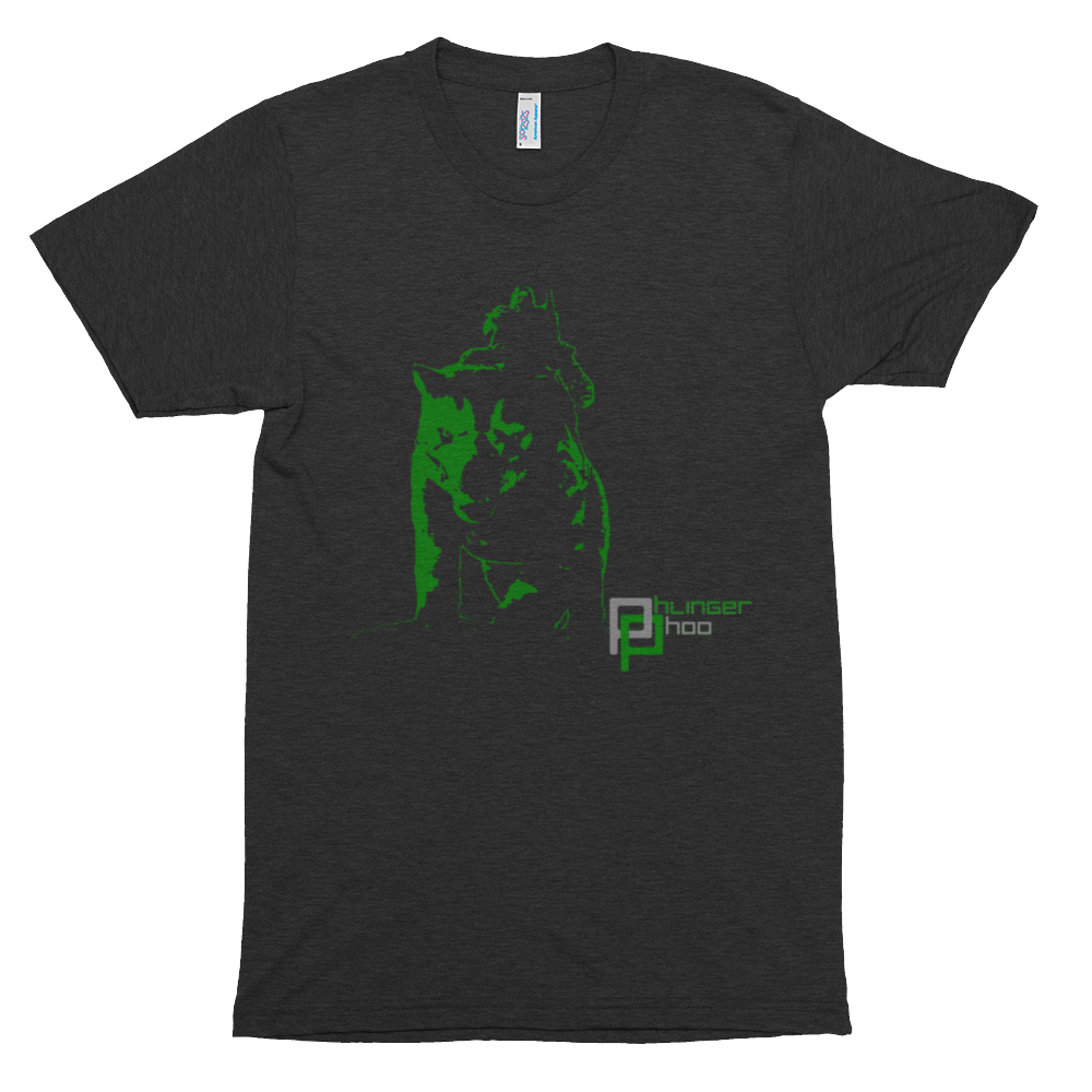 phlingerphoo1 / Streamlabs